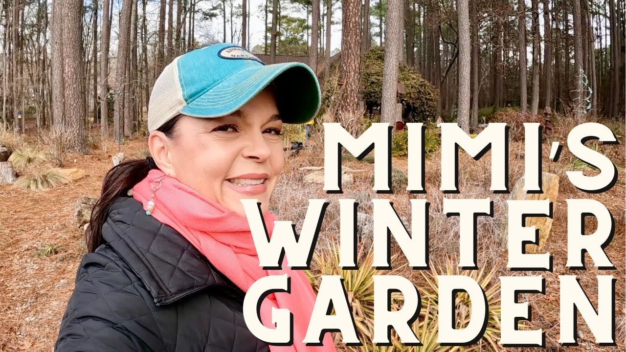 Winter Garden Tour of Mimi's Shade Garden – Creekside Nursery, Inc