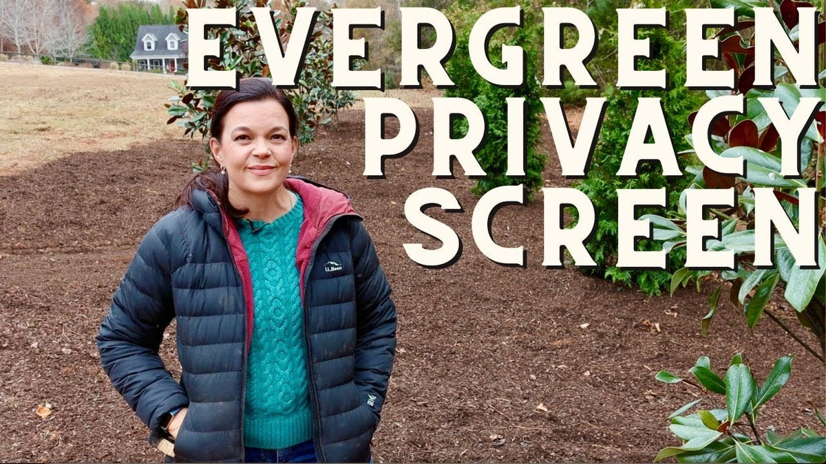 Videos – Creekside Nursery, Inc