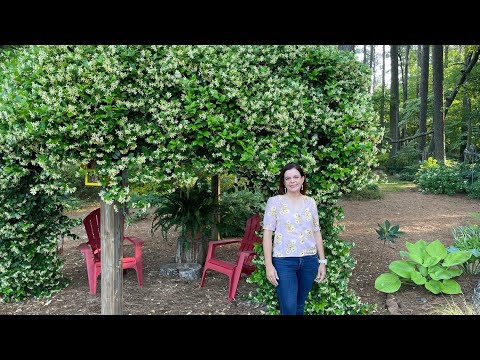 Mimi's Late Spring Garden Tour – Creekside Nursery, Inc
