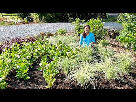 Gorgeous New Entrance Beds – Creekside Nursery, Inc