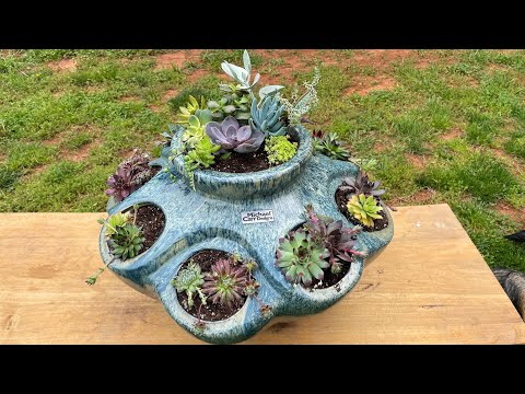Fun Planter of Succulents – Creekside Nursery, Inc