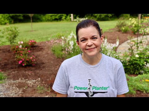 Planting Encore Azaleas & 'Invicibelle Ruby' Hydrangeas – Creekside ...