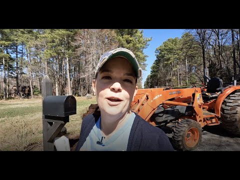 Pruning Sunshine Ligustrums & Perennial Grasses – Creekside Nursery, Inc
