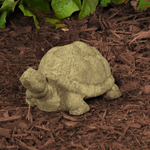E.T. Turtle - Unique Stone – Creekside Nursery, Inc