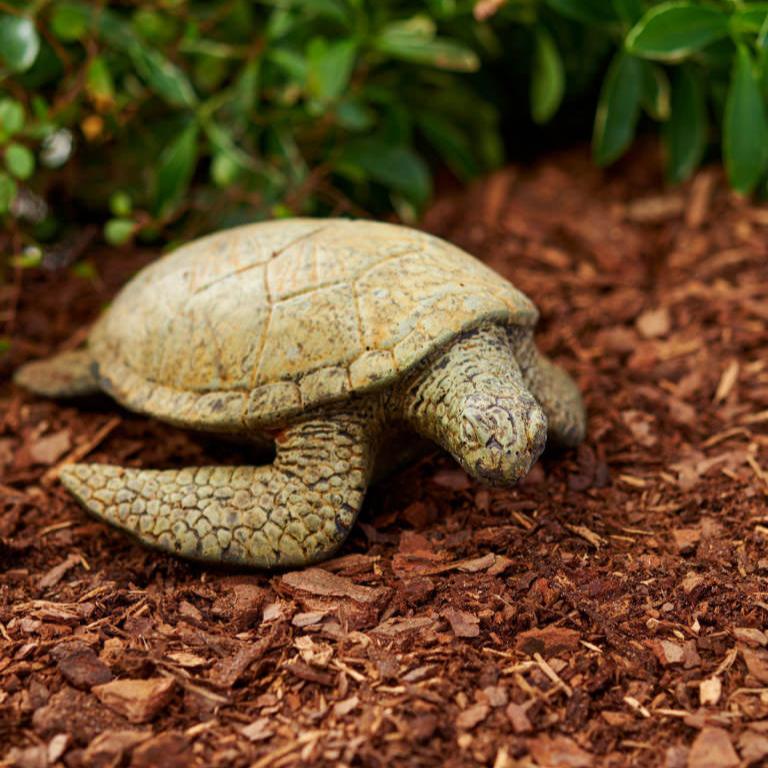 Loggerhead Sea Turtle - Unique Stone – Creekside Nursery, Inc