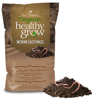 MONTANA MOSS® Juniper | Proven Winners® – Creekside Nursery, Inc
